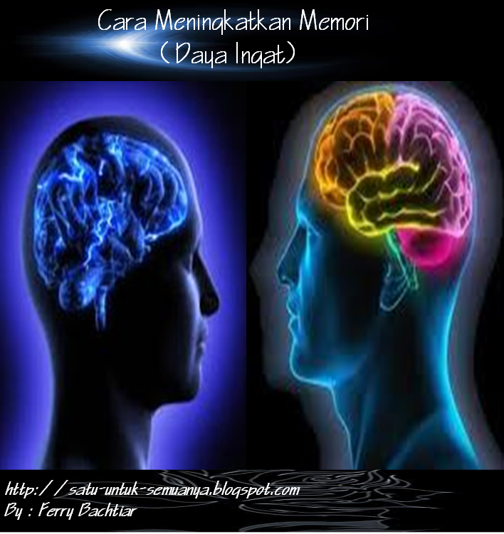 Cara Meningkatkan Memori (Daya Ingat) | Berbagai Artikel Menarik