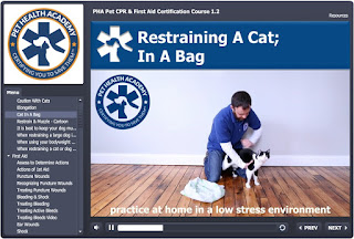Online Pet CPR Course: Take a Pet CPR Course Online or In Person
