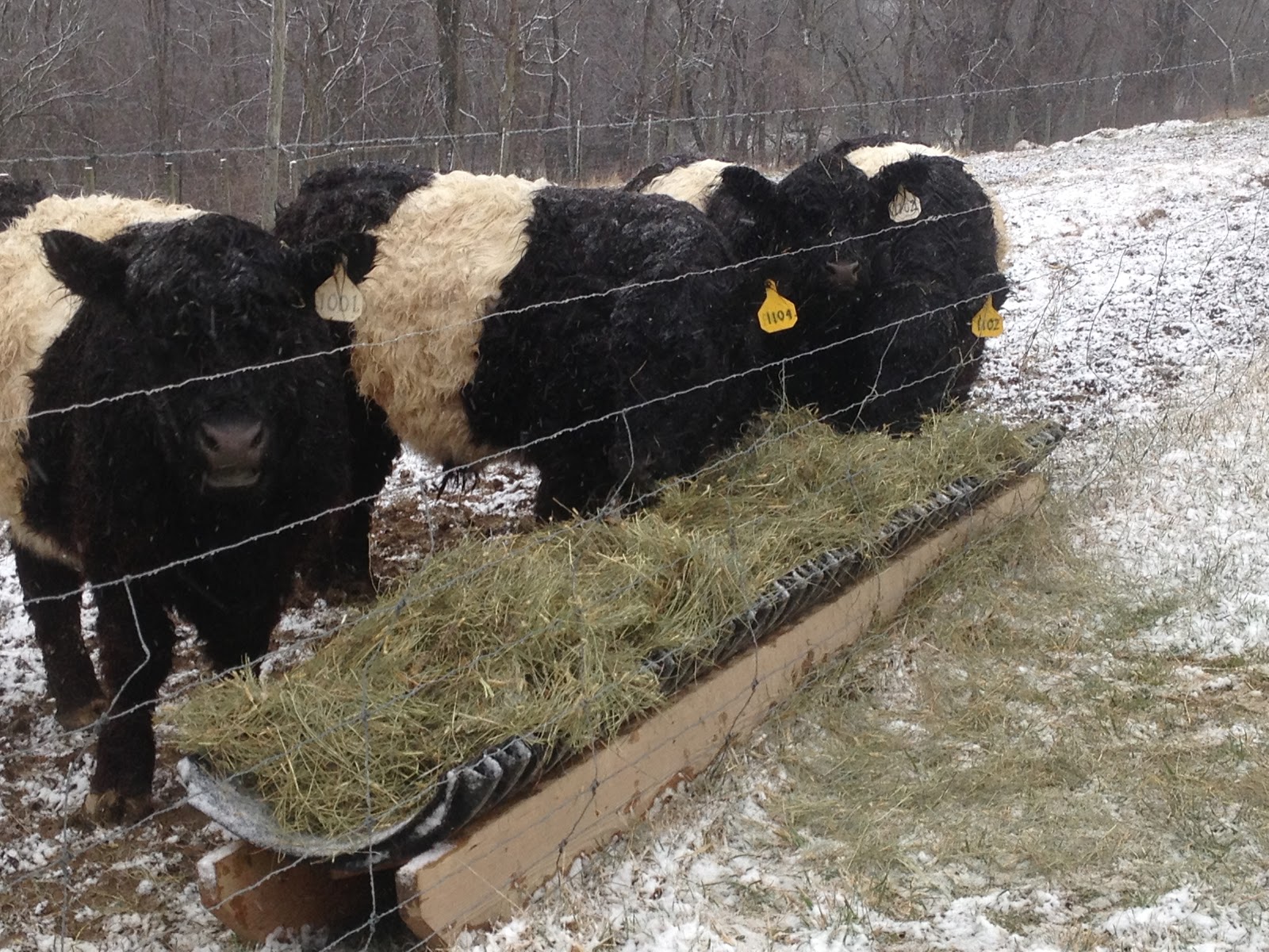 Down On The (Howard Family) Farm