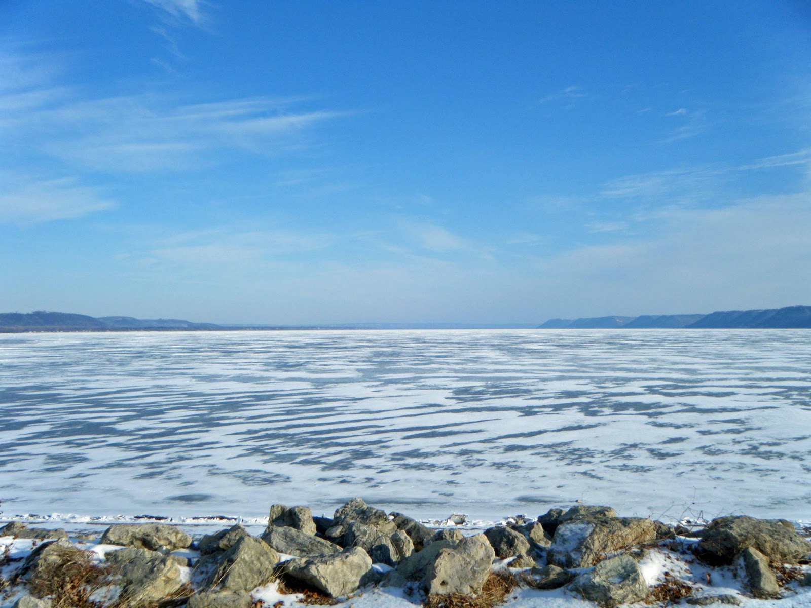 Adventures Here and There: Visiting the Eagle Center