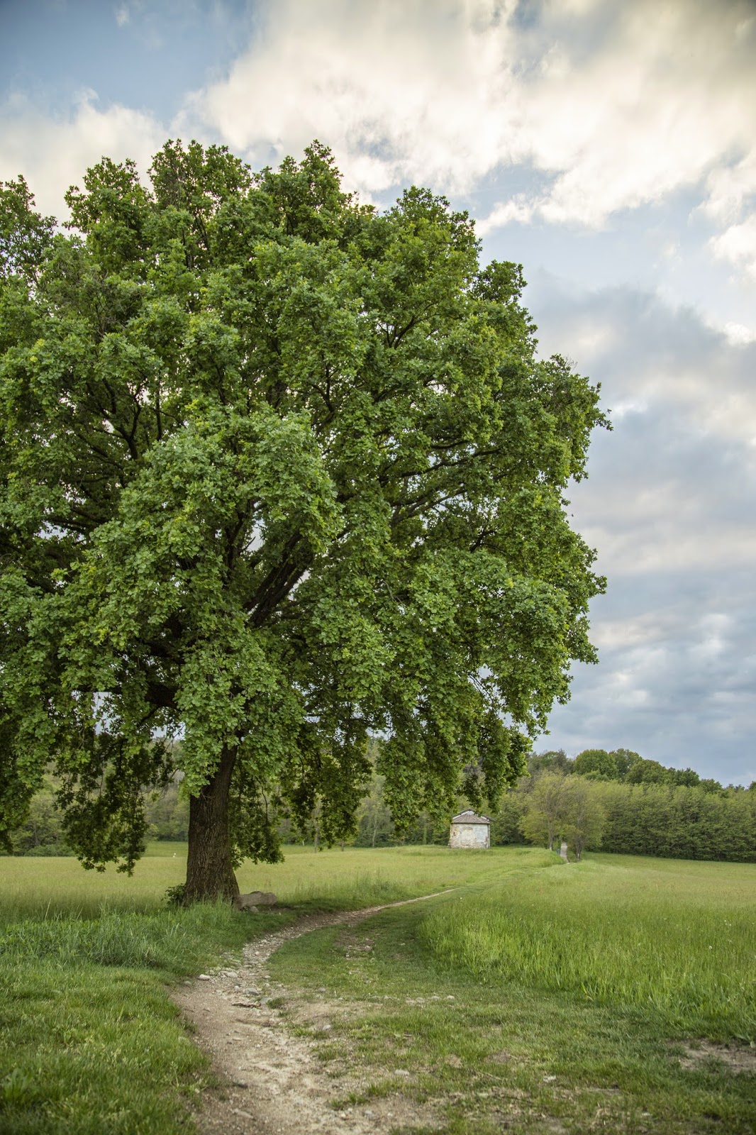Itinerari Fotografici: febbraio 2015