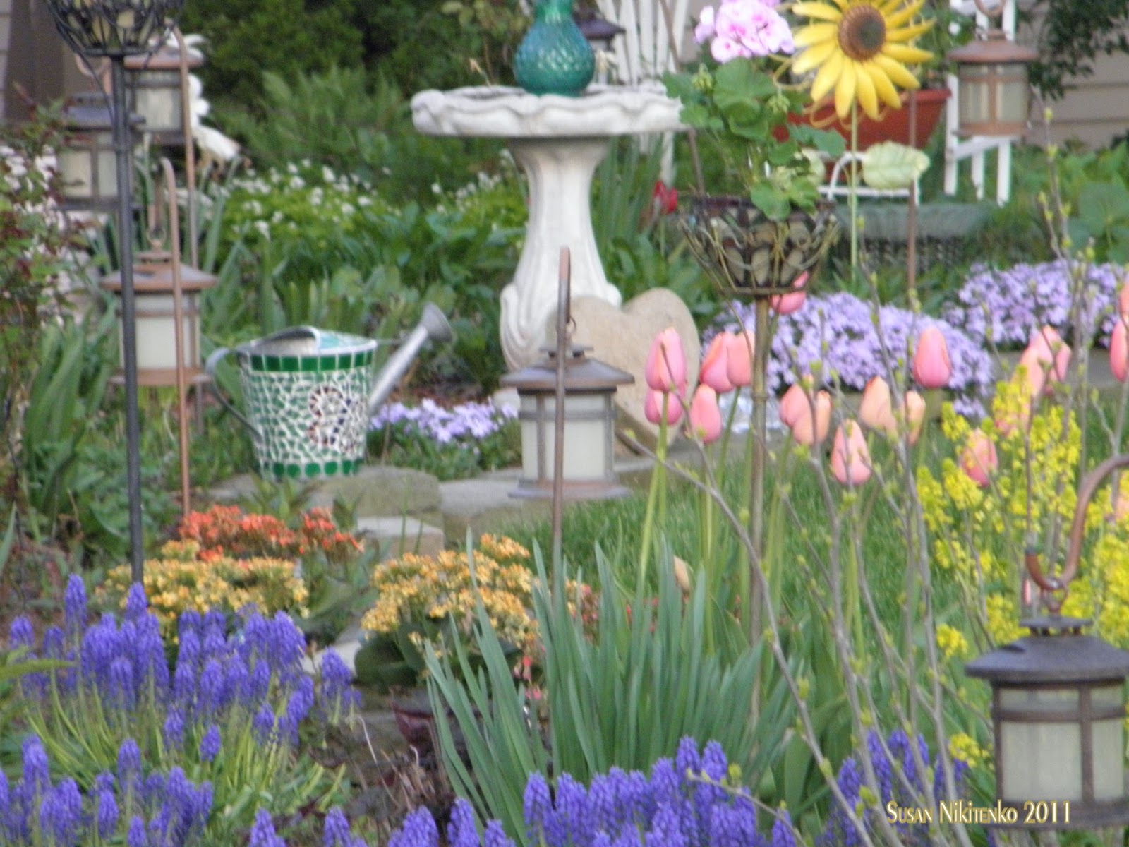 My Spring Garden In 2011