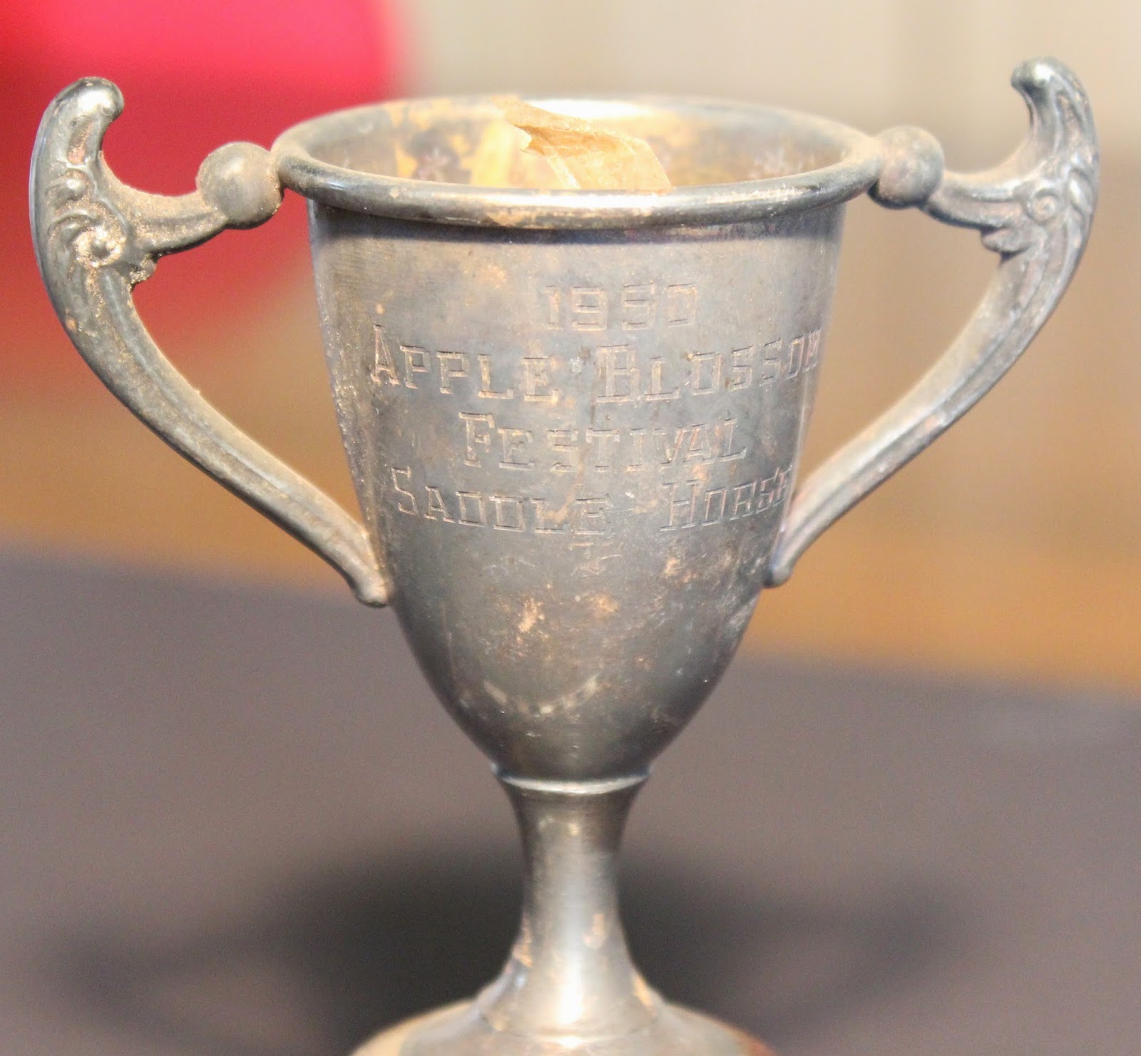 Kelly's Conservation Corner: April 2014