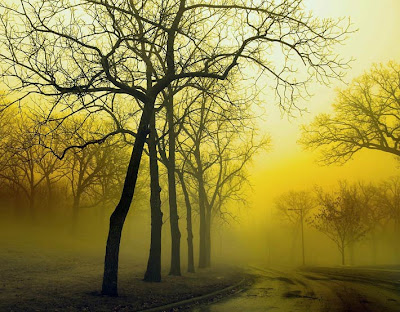 TRAVEL INTO WORLD: Beautiful and Amazing Colorful Autumn