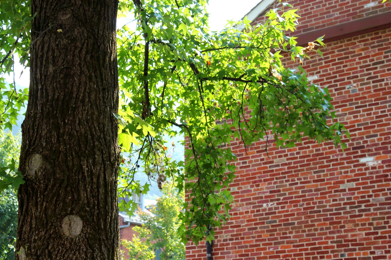 Here and There: You Know, Just a Quick Trip to Harper’s Ferry