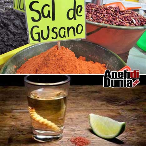 Makanan Sehat Berbahan Dasar Cacing - Berita Aneh dan Unik Terbaru