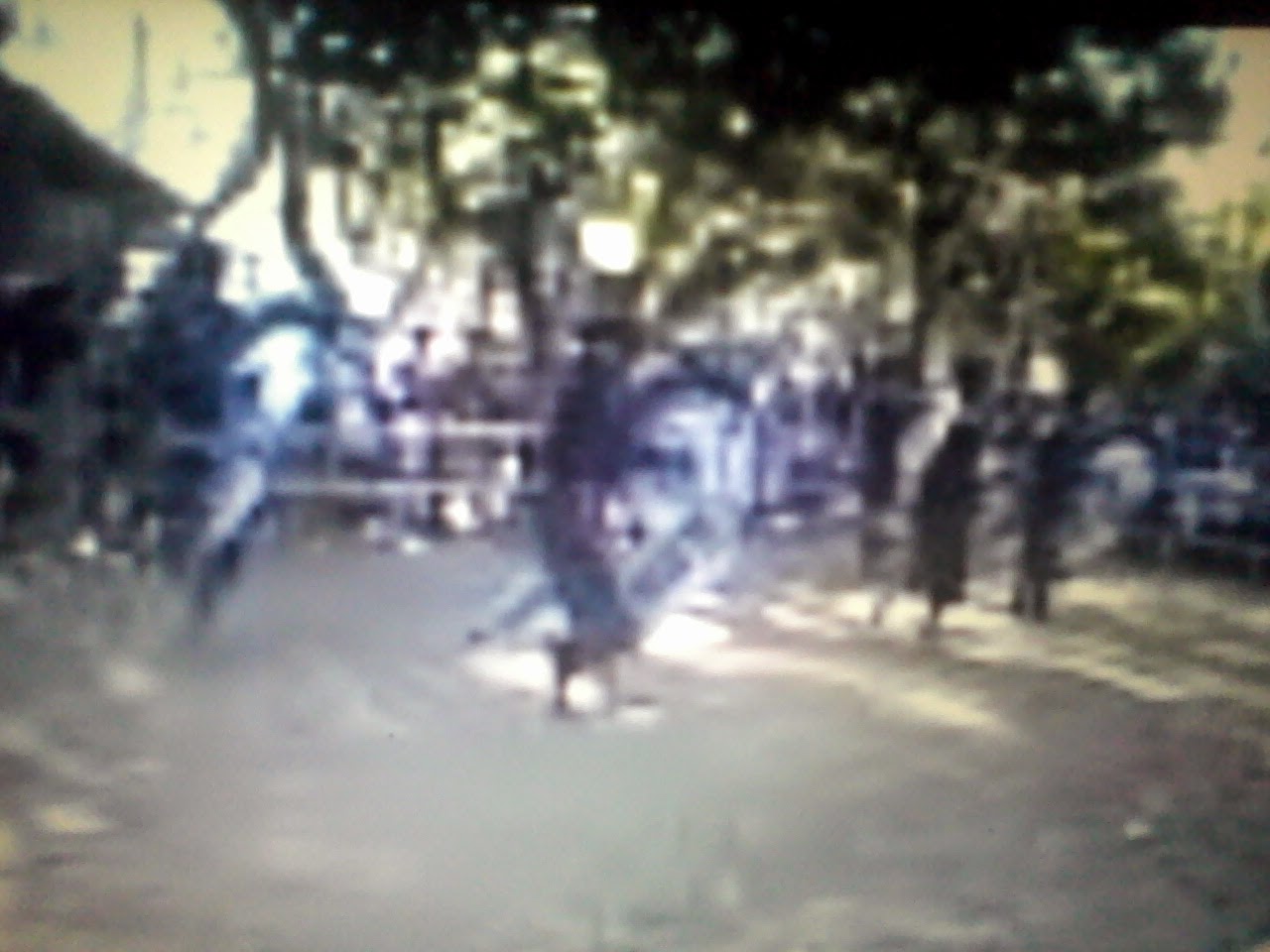 Kesenian kuda lumping Mlaran “ Wanoro Seto “ | majulah-mlaran.blogspot.com Kesenian kuda lumping Mlaran “ Wanoro Seto “ | majulah-mlaran.blogspot.com