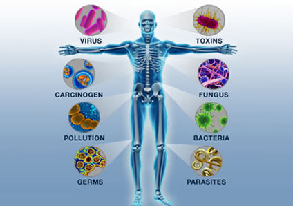 AP Health Consult: HUMAN DEFENSES AGAINST INFECTIOUS DISEASES - Health ...