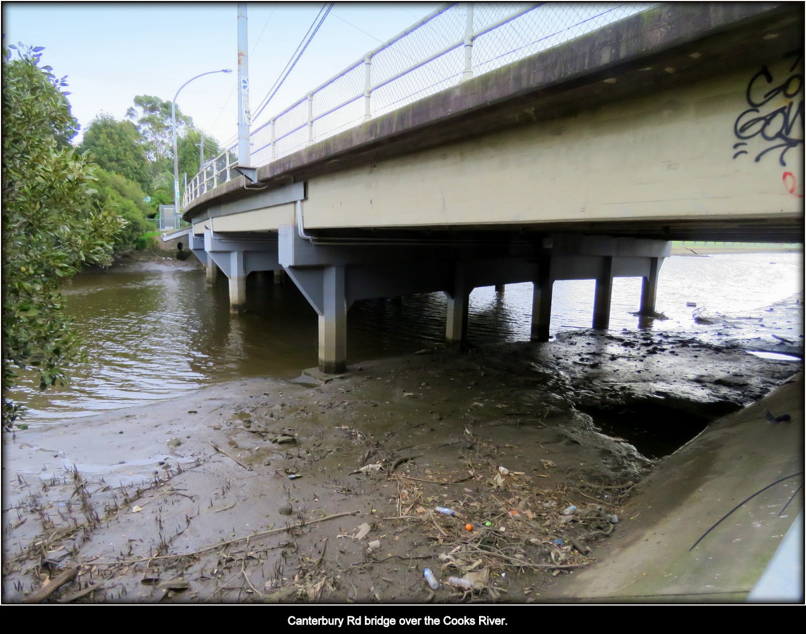 GUMNUTS.....AND OTHER STUFF: Cooks River Walk......with siblings and ...