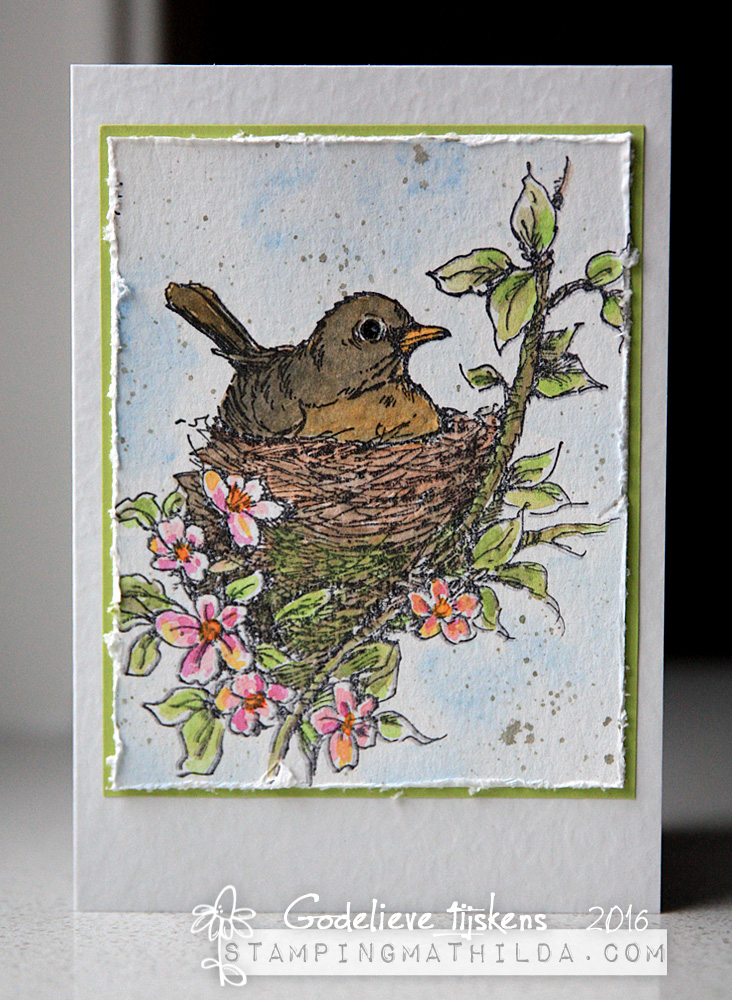 StampingMathilda: Nestled Bird