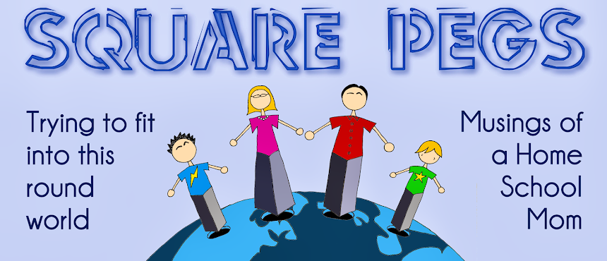 Square Pegs: Individualized Home Instruction Plan: New York State