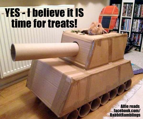 Rabbit Ramblings: Funny Bunny Monday Meme*day