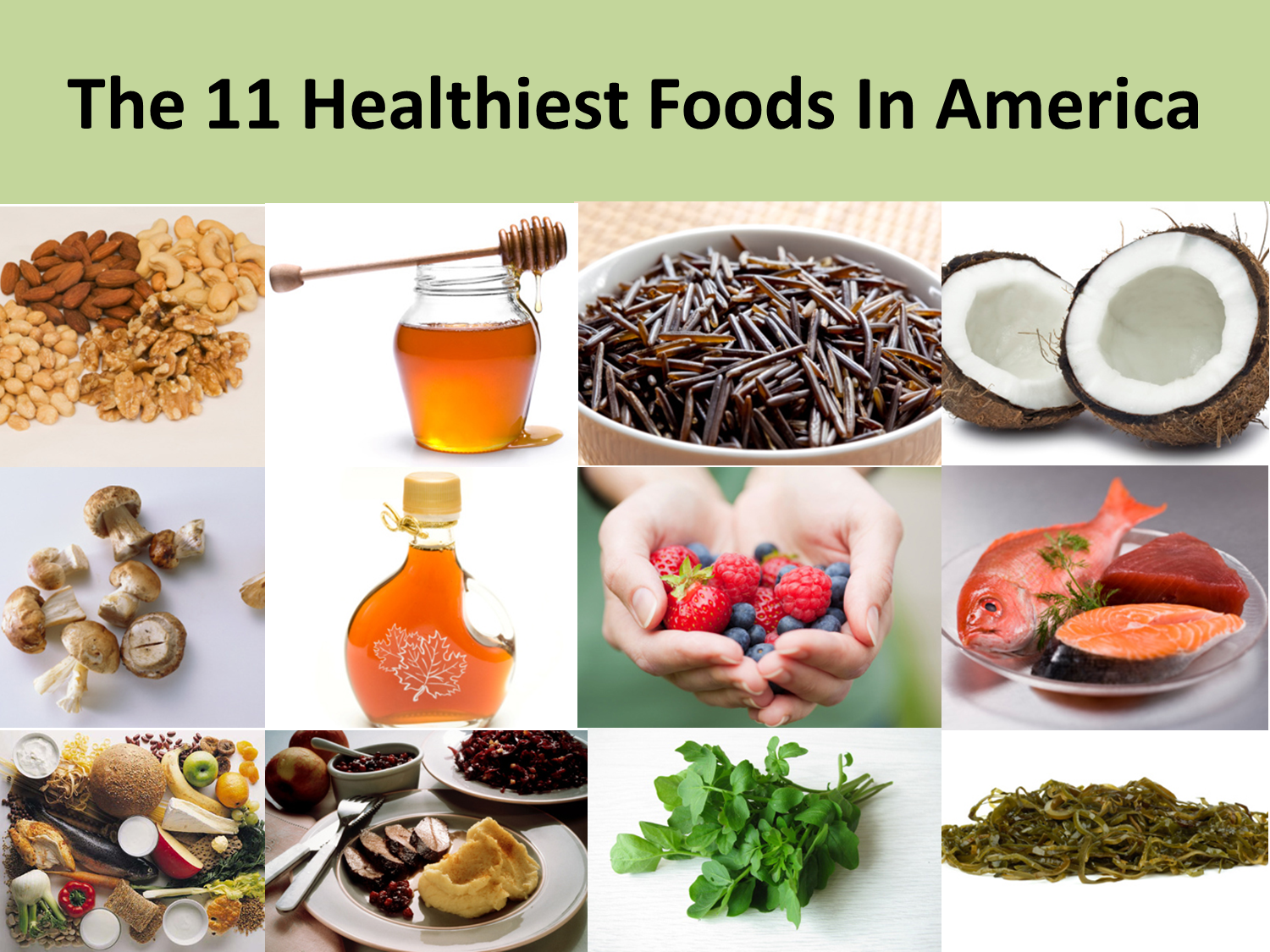 Dr Mat: quality food is an important sources for quality life. what we ...