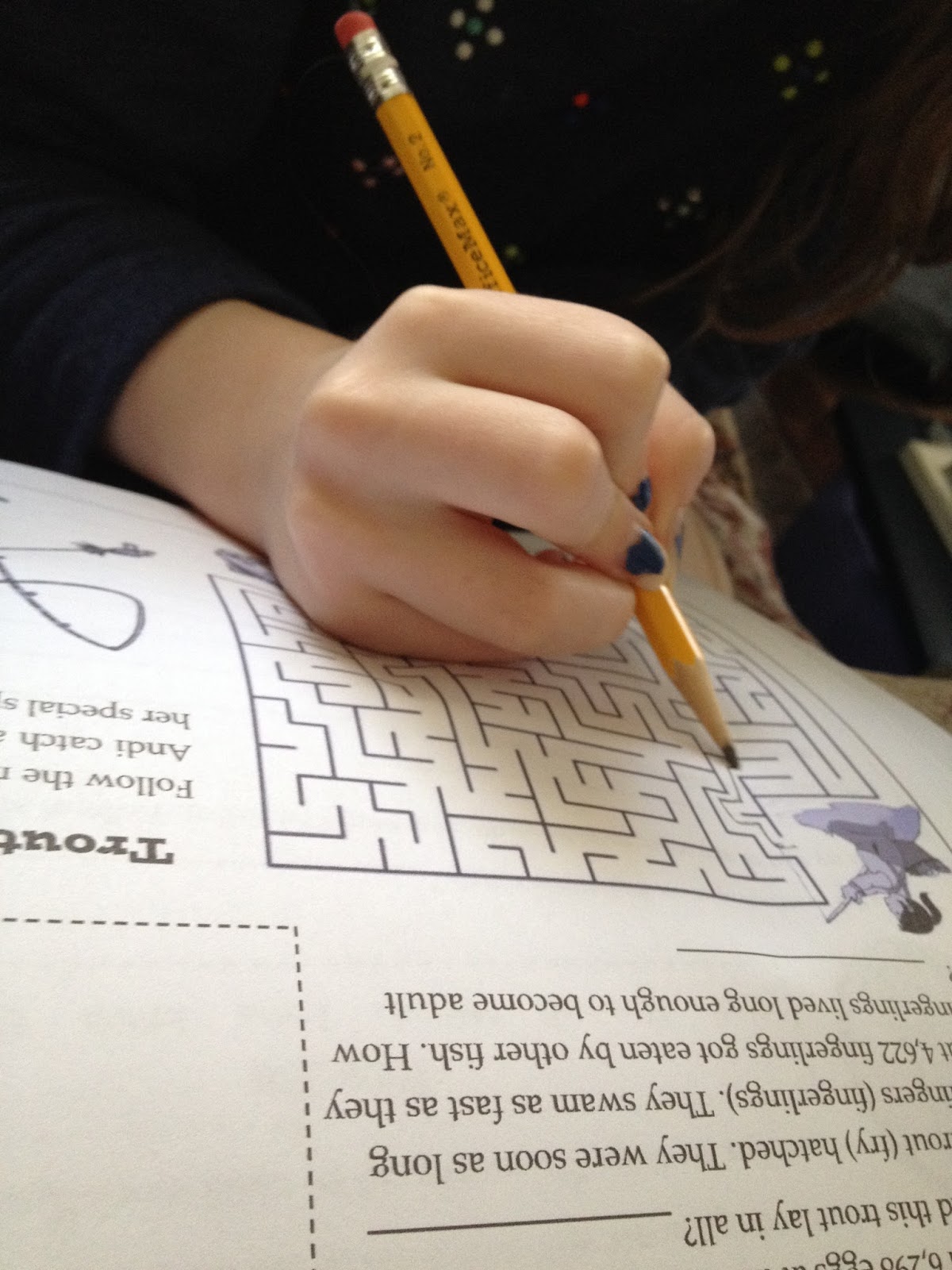 Puddle Jumping: Homeschool Review Crew - Susan K. Marlow Books From The ...