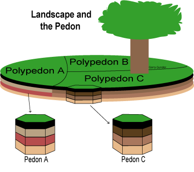 DEFINITION PEDOSPHERE AND SOIL STRUCTURE | Science Lovers