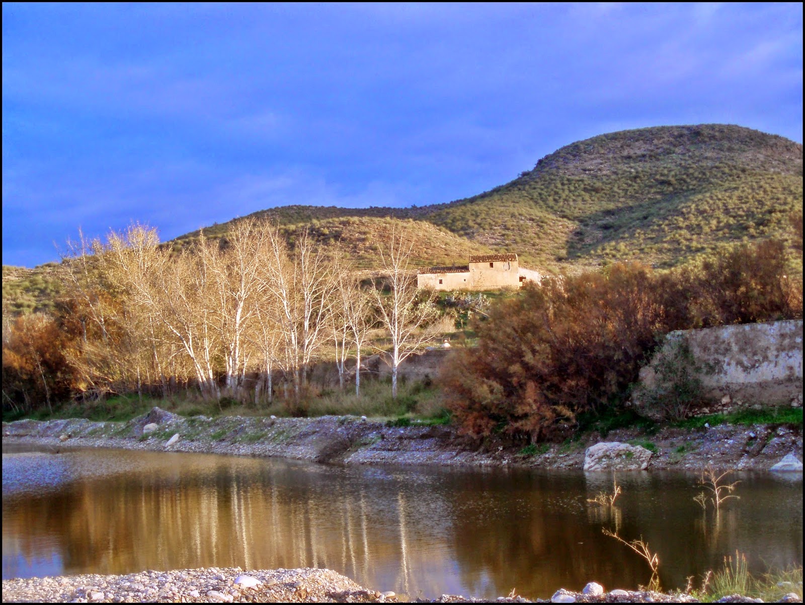Overa Viva: NOCHE DEL ÁLAMO Y LOS RAMOS EN OVERA. Artículo incluido en ...