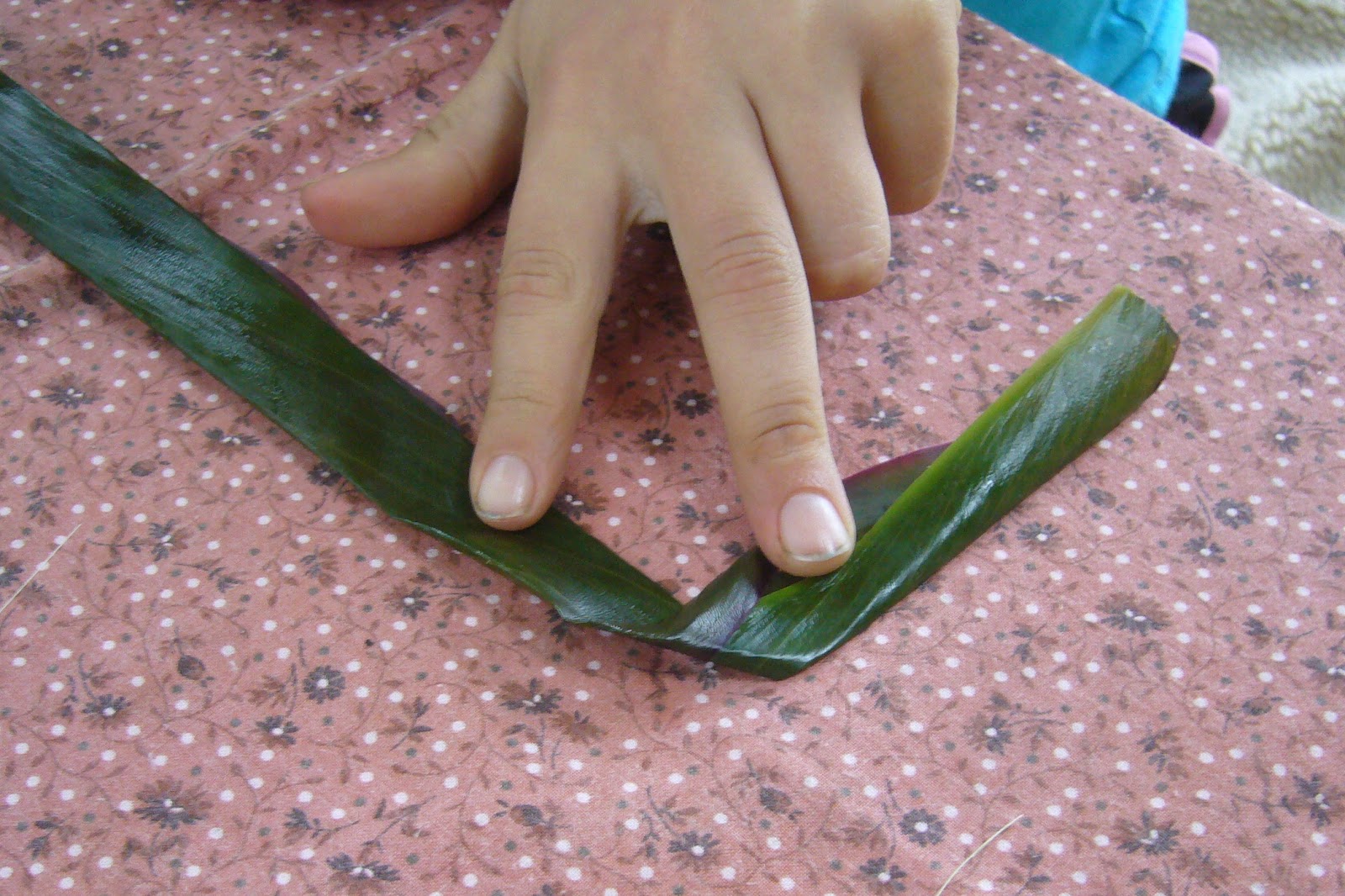 Holly's Creativity Blog: ti leaf rose