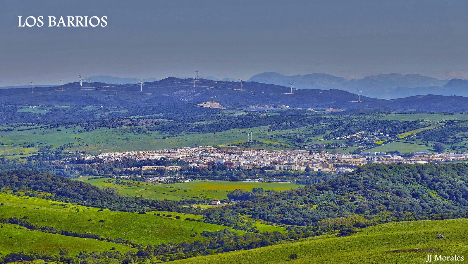 PajarrArcos: Los Barrios