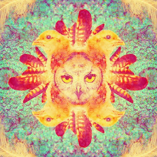 31 Psychedelic Trippy Owl Pictures