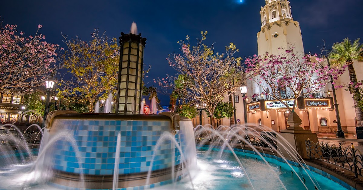 Disney Photoblography