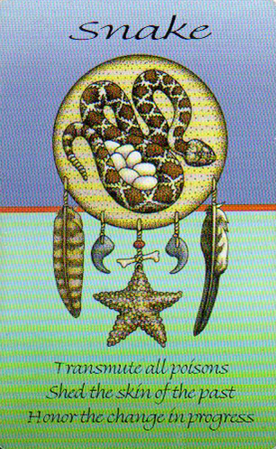 The Cheeky Witch Oracle