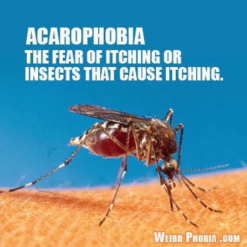 Collections: November 2013