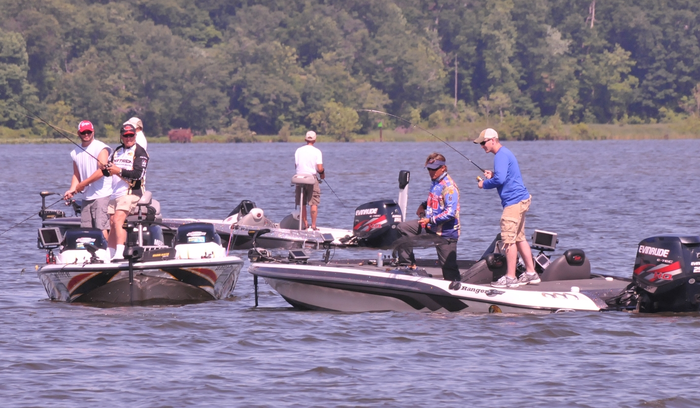 IBASSIN: Fishing in a Crowd Part 2