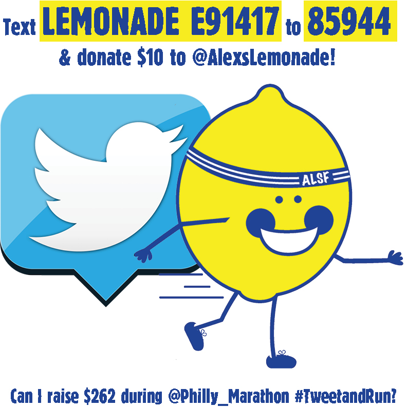 TWINS RUN in our family: 2012 Philadelphia Marathon - Raising $262 in ...