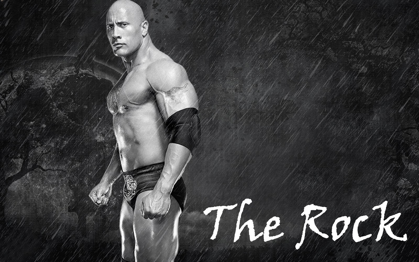 The Rock HD Wallpapers - WWE Wallpapers free