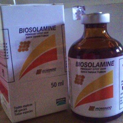 Juli 2013 - CP: 0856 295 1505 / DA7A55E6