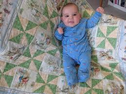 PURPLE SAGE ORIGINALS: Peter Rabbit and Friends Quilts