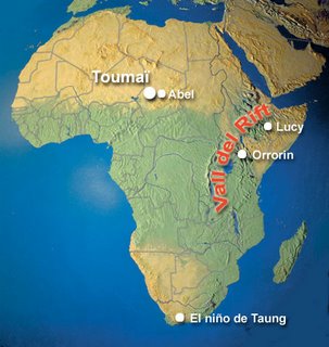 SAL Y PIMIENTA: 1º DE LA ESO.VALLE DEL RIFT. TRABAJO.CIENCIAS SOCIALES