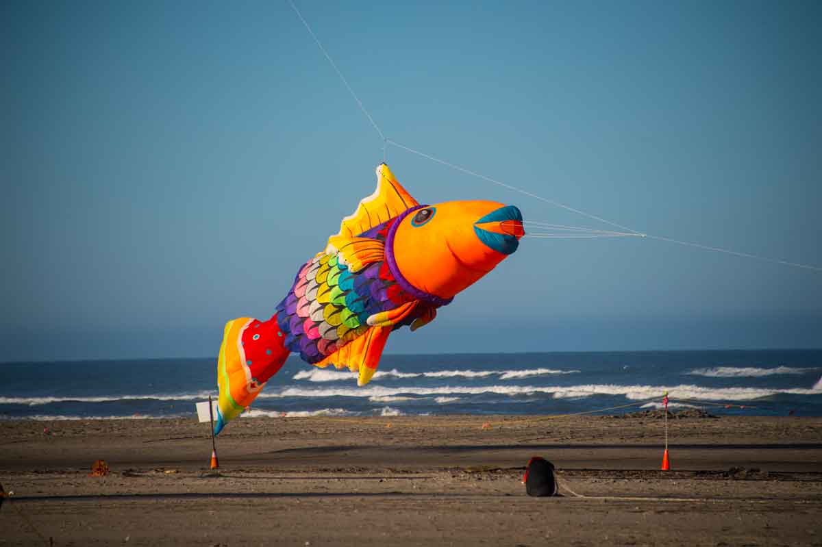 Kissack Adventures: Launching Big Kites!!