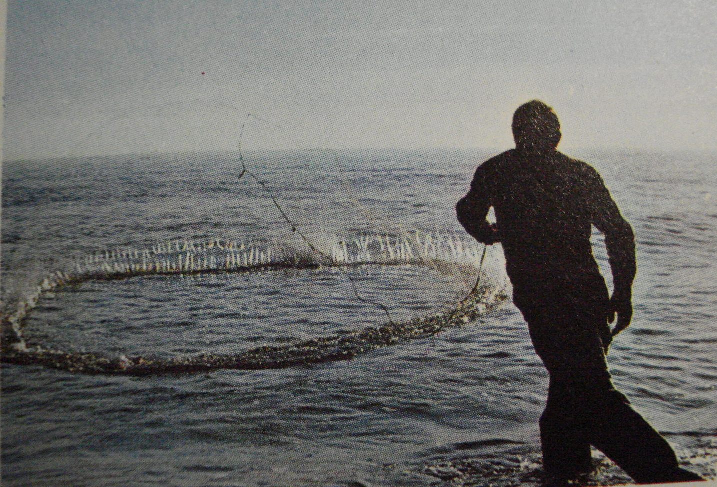 Pescare in Adriatico on line: PESCARE CON RETI
