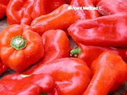 conservas caseras de la huerta: EMBOTAR PIMIENTOS ROJOS