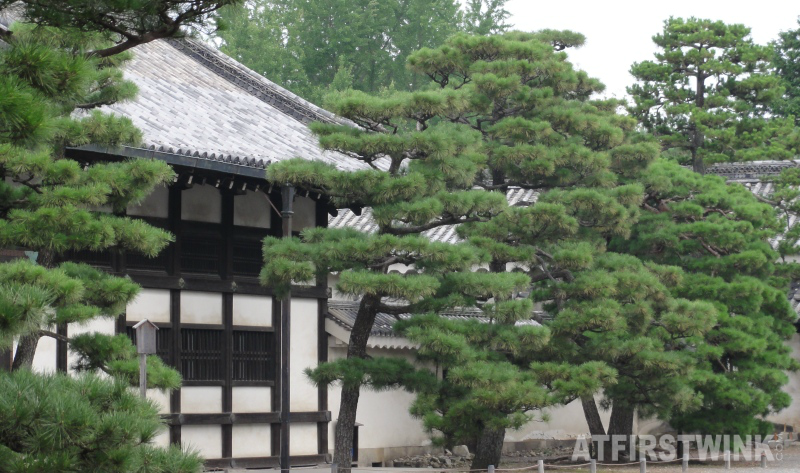 Nijo Castle (二条城), Kyoto, Japan - part 3. Seiryu-en garden