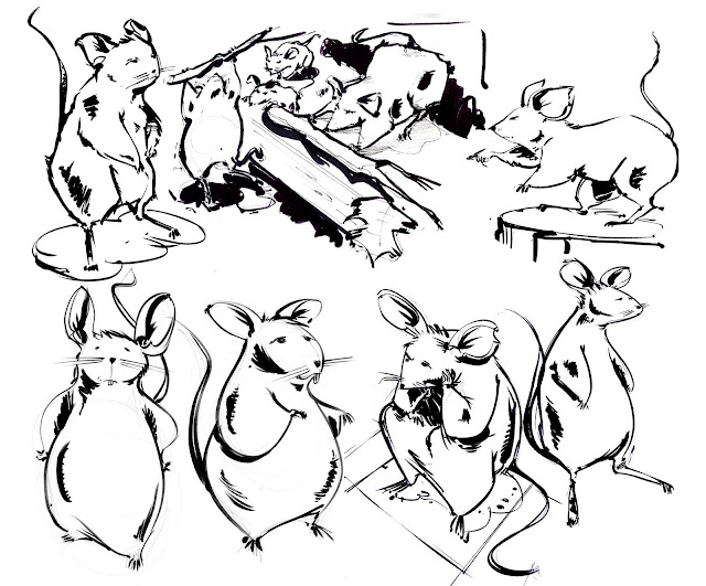 Notes from the Trail: 2011