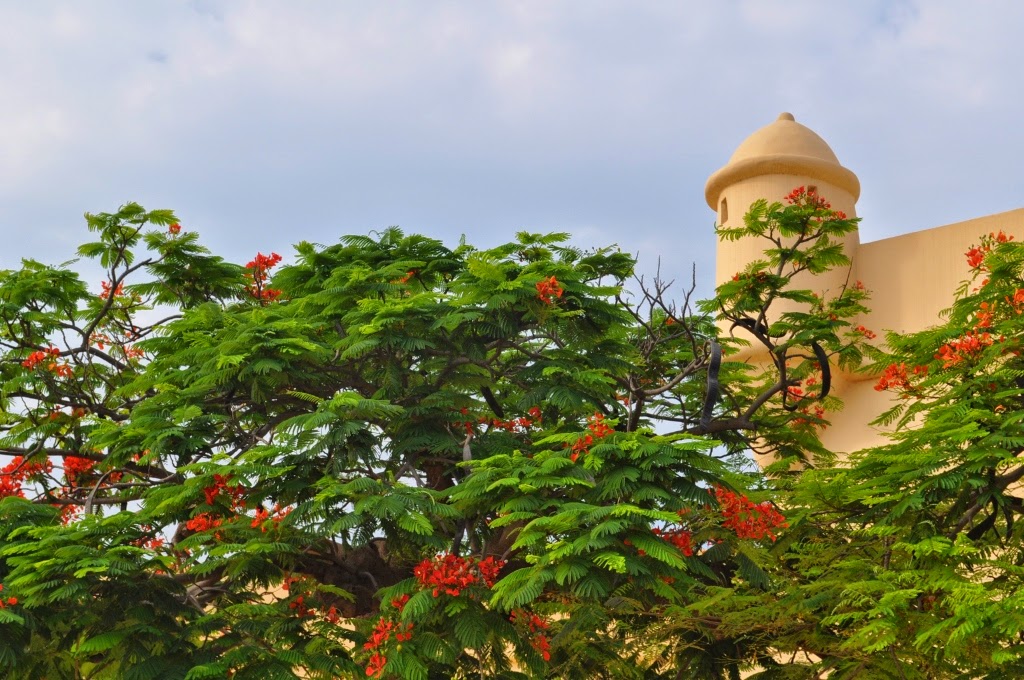 Luanda, uma cidade a rebentar pelas costuras - O Berço do Mundo