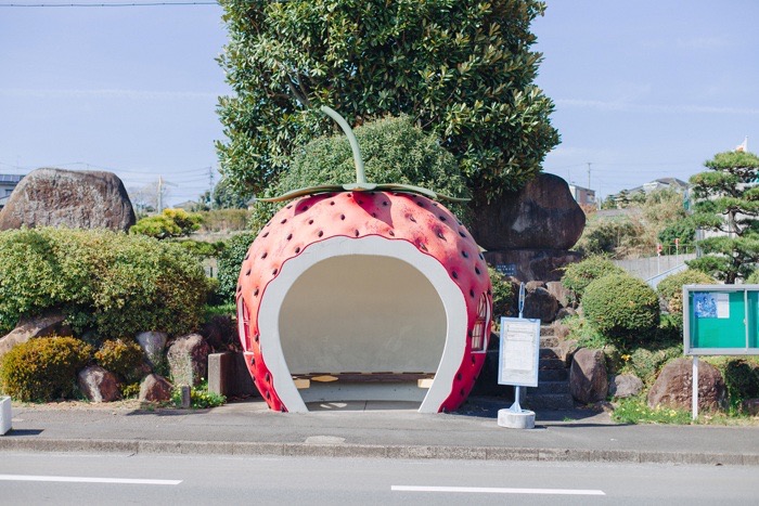 Burntfeather: Japan Road Trip - Fruit Bus Stops