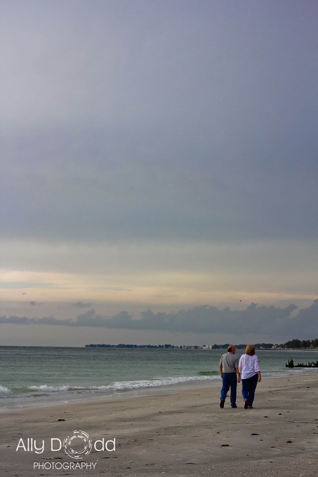 Ally Dodd Photography: The Condron Family