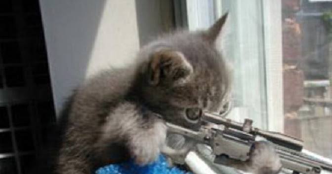 Dota 2 Build: Dota 2 - Sniper Build Guide