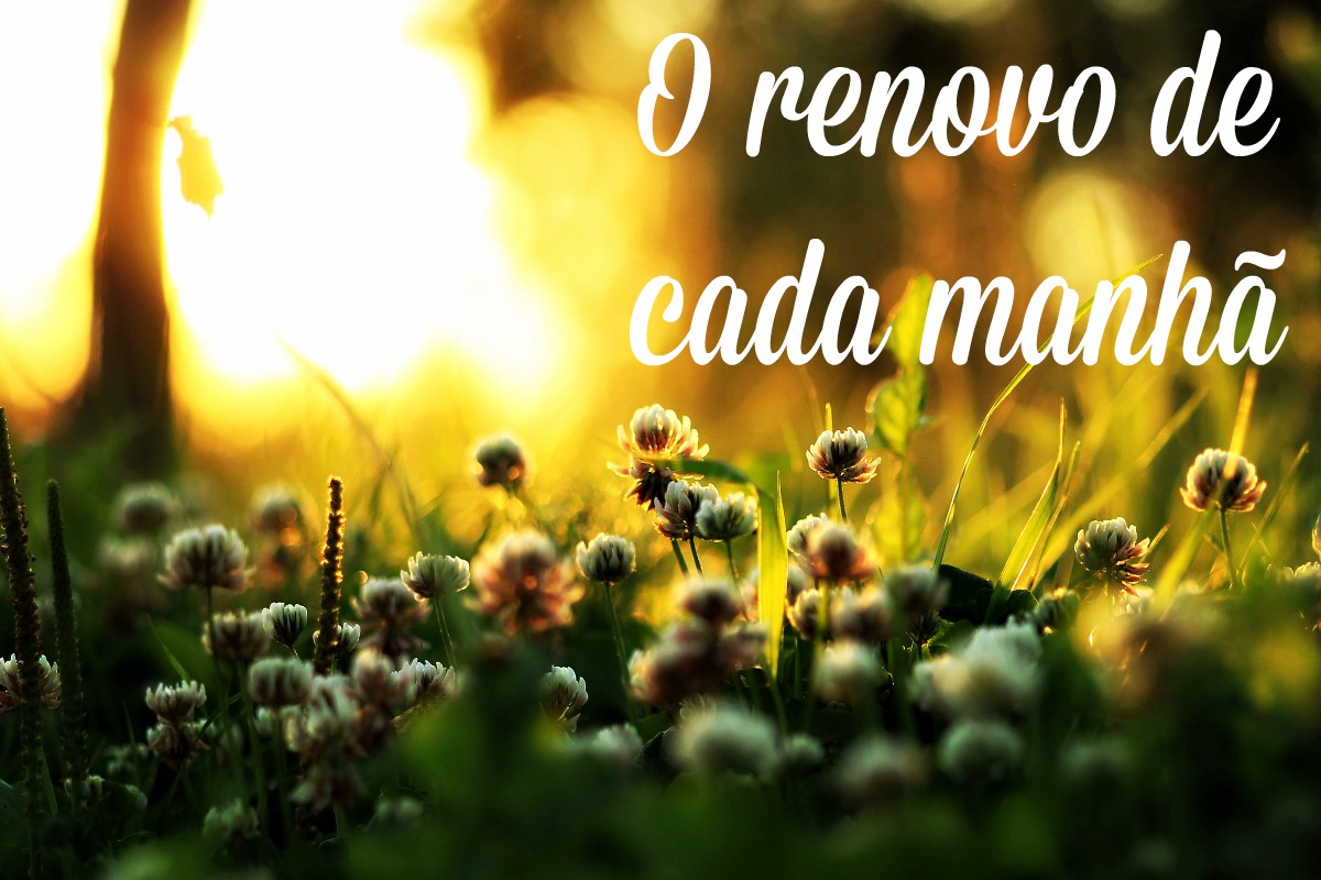 O RENOVO DE CADA MANHÃ - IGREJA CASA DE ORAÇÃO CEHAB