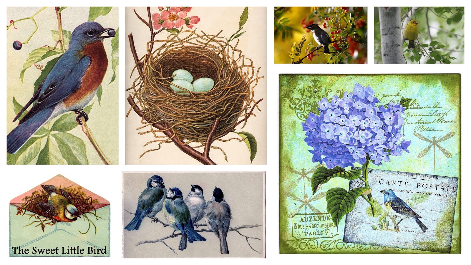 The Sweet Little Bird: many free sewing patterns