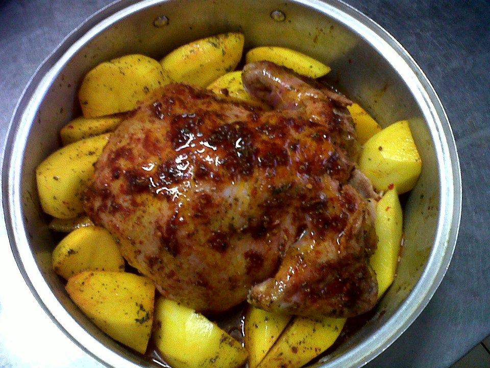 LEKKER RESEPTE VIR DIE JONGERGESLAG: HOENDER GEREGTE