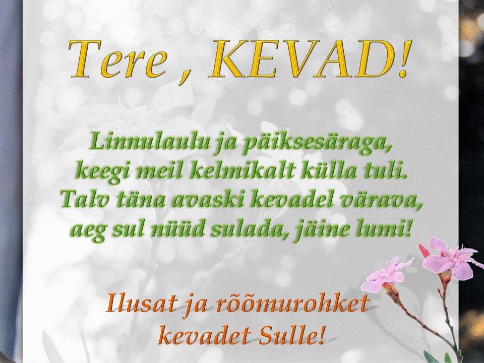 AHTME GÜMNAASIUMI EESTI KEELE KATEEDER: Kevad