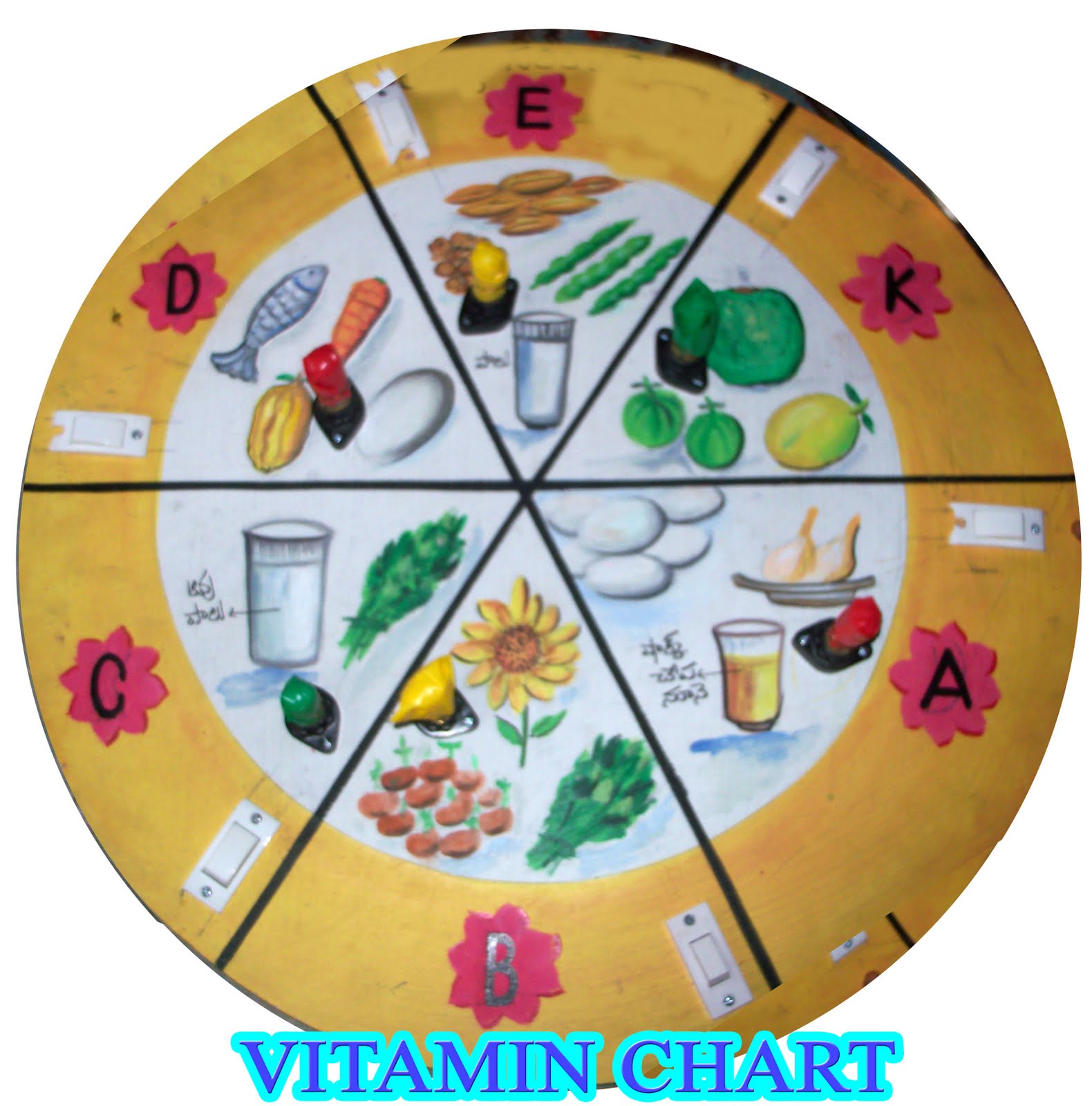 SCIENCE GALLERY: VITAMIN CHART