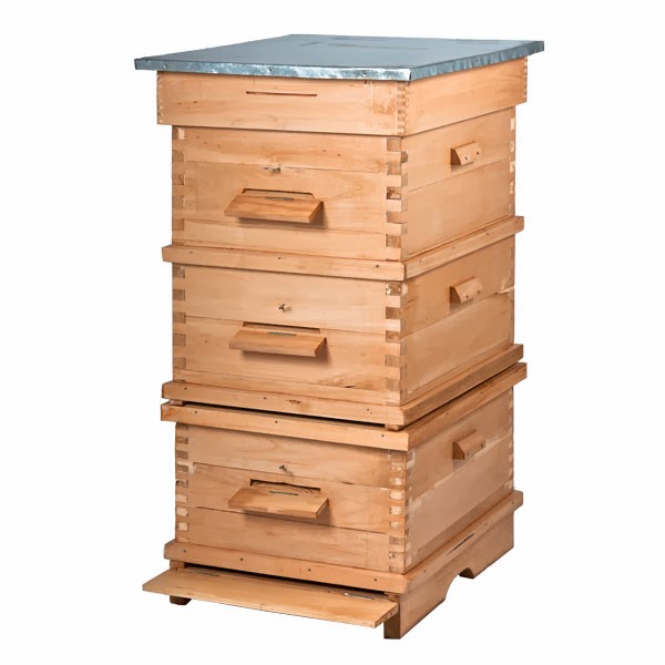 Corona Apicultores: COLMENA LANGSTROTH II