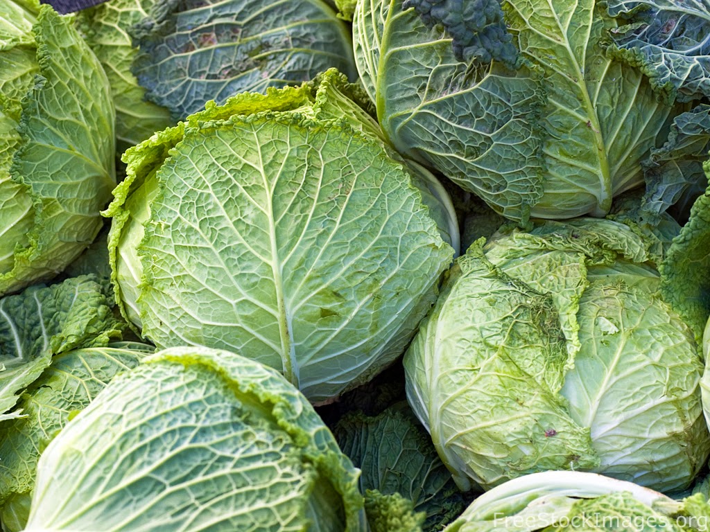 Healthy Healing Foods