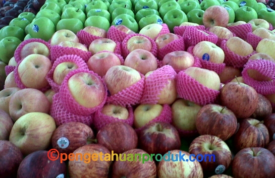 √√ Harga Buah Apel Terbaru Juli-Agustus - Pengetahuan Produk