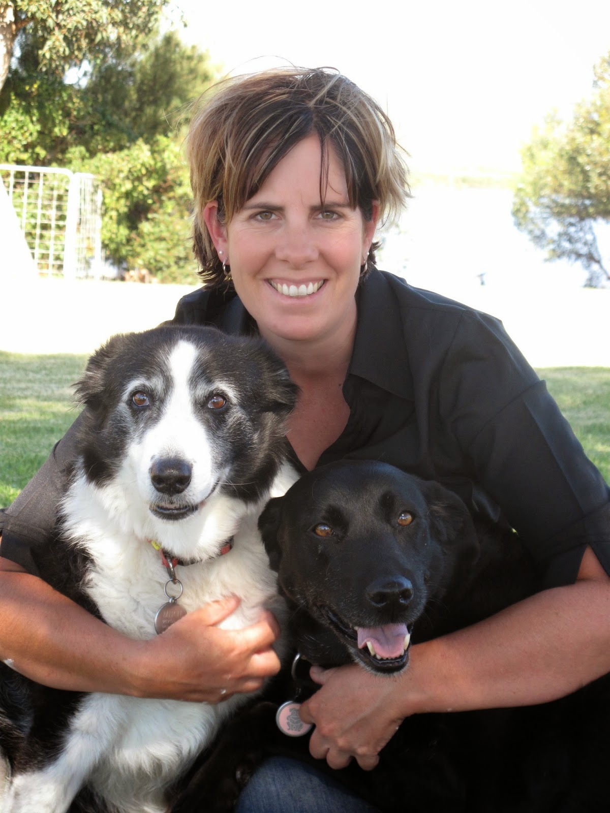 Small Animal Talk: Can vets do behaviour better?